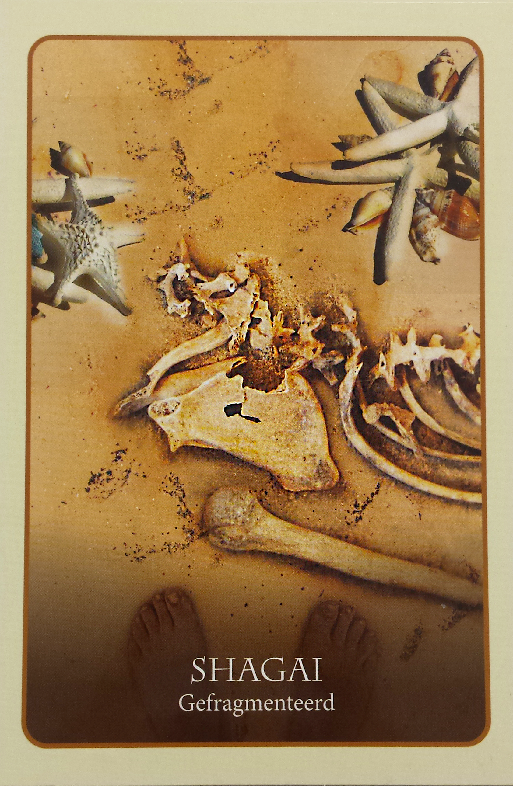 Orakelkaart - Shagai (gefragmenteerd)